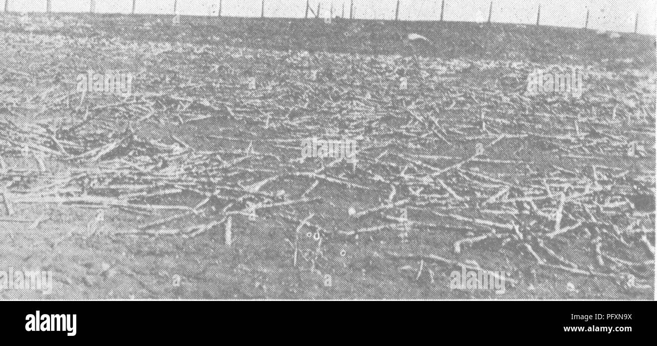 Mixed fertilizers Black and White Stock Photos & Images - Alamy