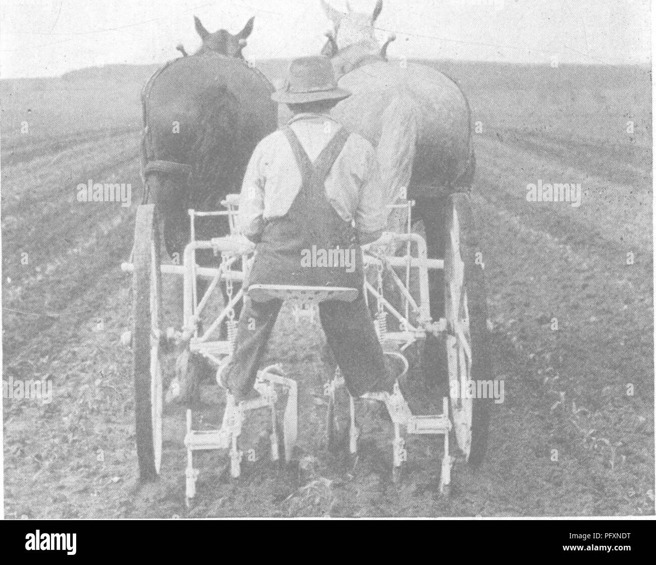 This work discusses the fundamentals of soil management and cultivation ...