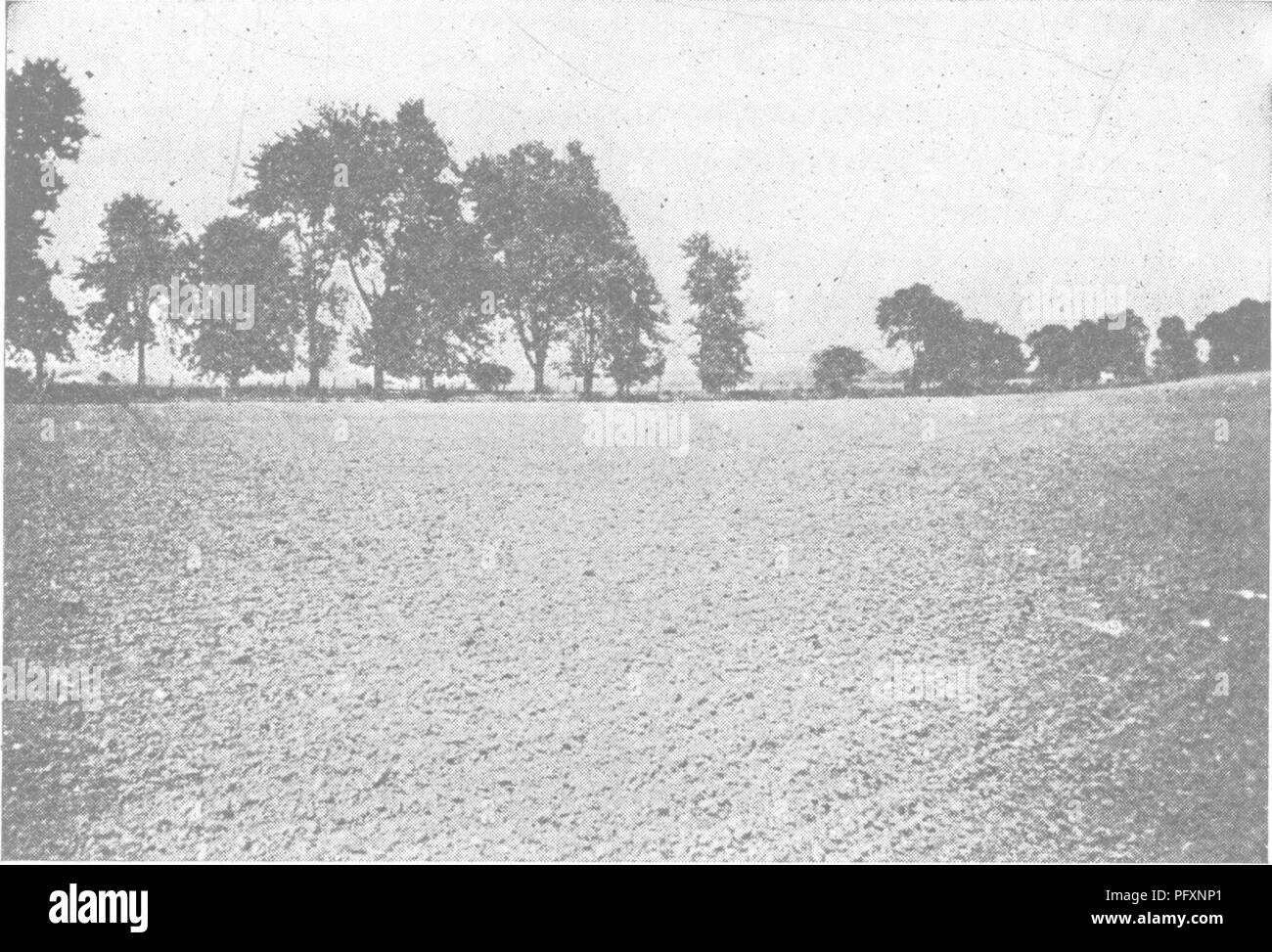 Good soil structure hi-res stock photography and images - Alamy