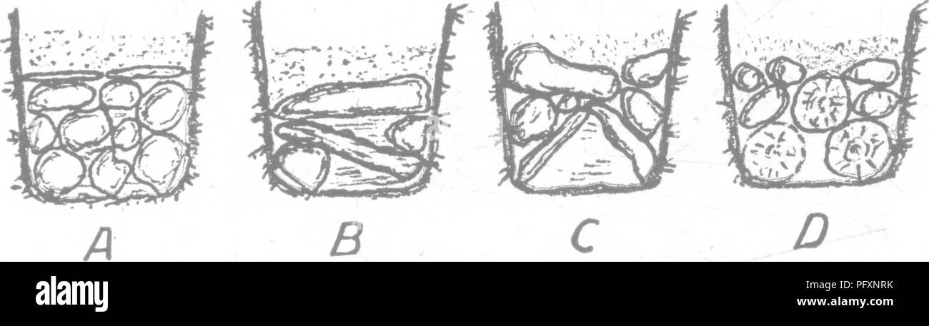 . Productive soils; the fundamentals of successful soil management and ...