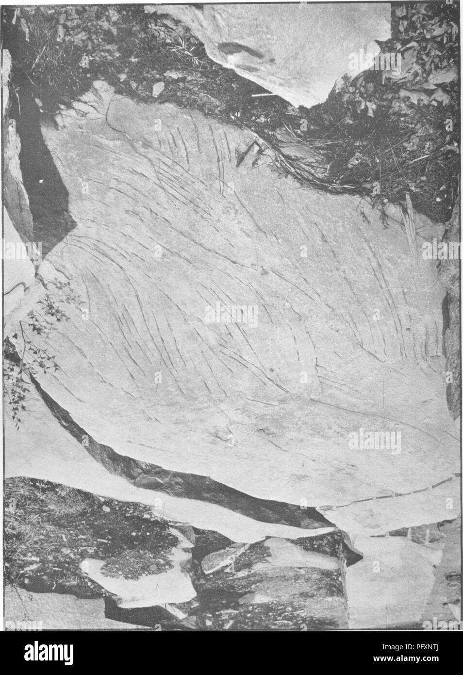 Cross stratification Black and White Stock Photos & Images - Alamy