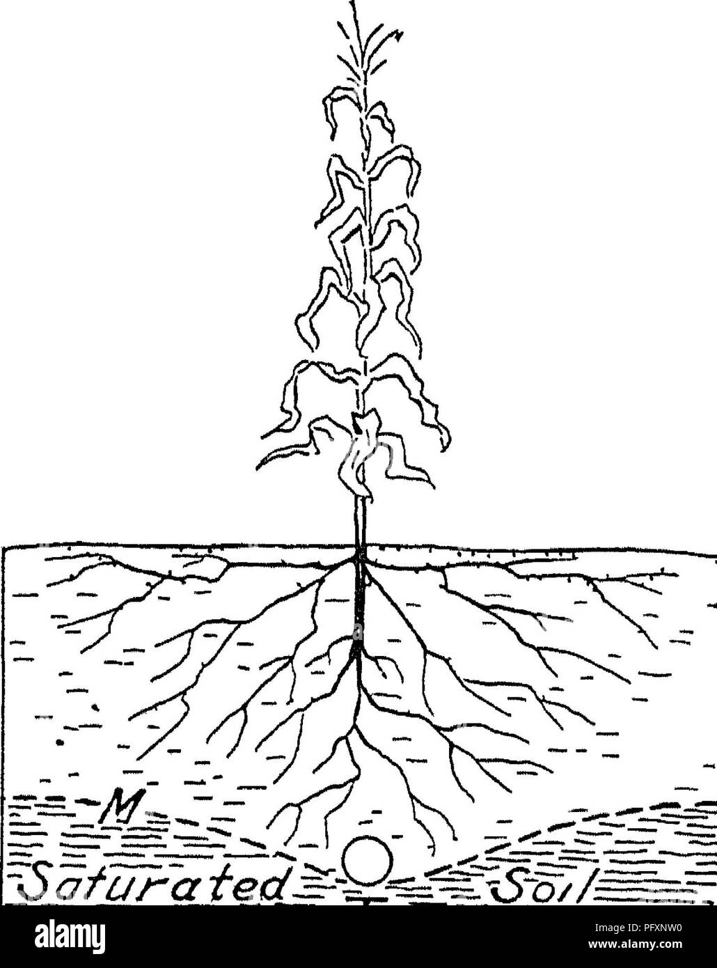 Soil moisture diagram hi-res stock photography and images - Alamy