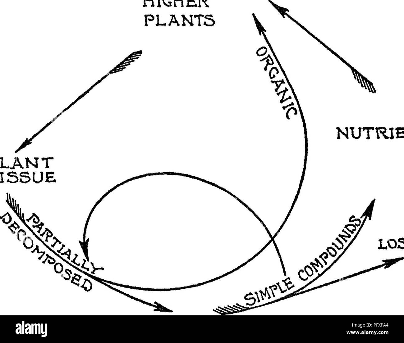 This textbook provides an in-depth study of soils, their properties ...