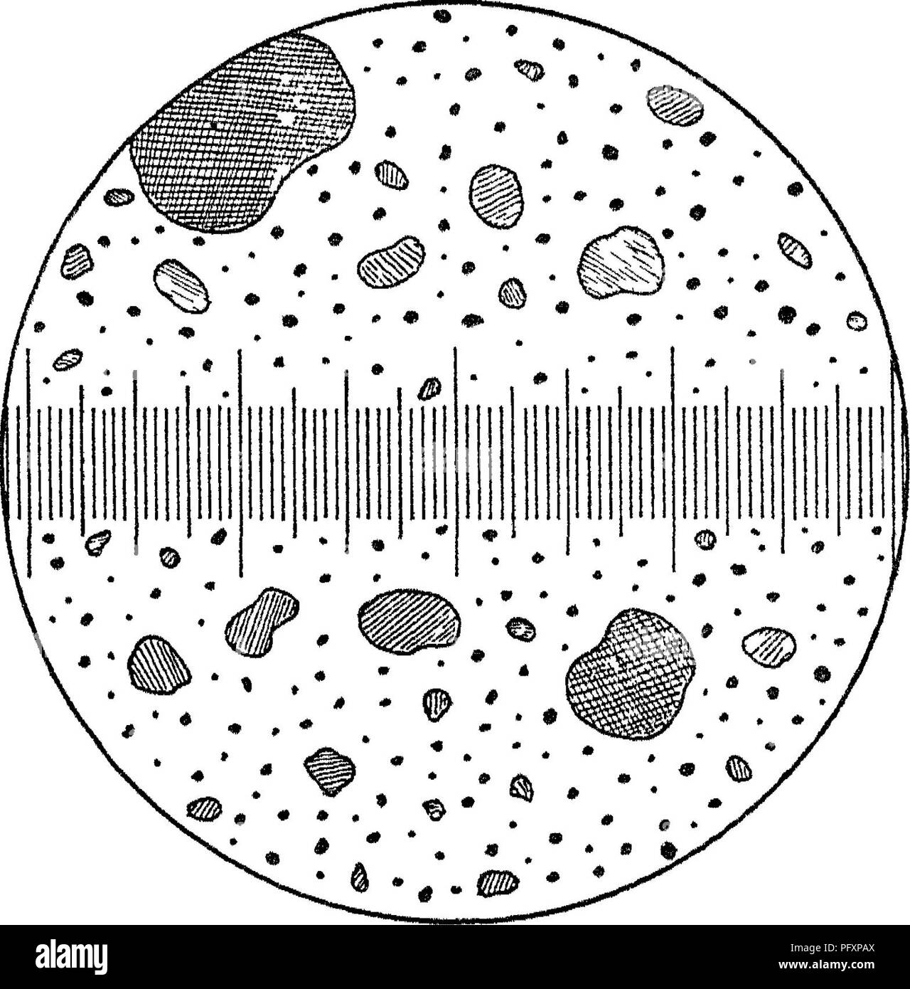 This textbook on edaphology examines the properties of soils, focusing ...