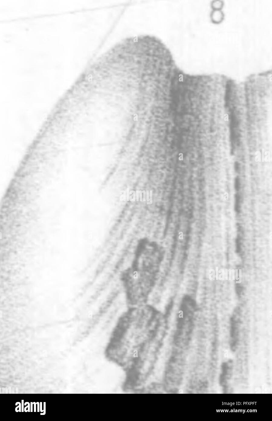 Raritan clays hi-res stock photography and images - Alamy