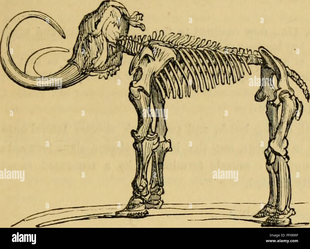Cuvier's influential work on animal classification, systematically ...