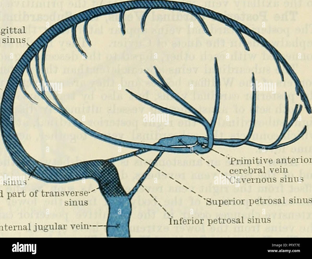 Cunningham's Text-book of Anatomy illustrates the development of the ...