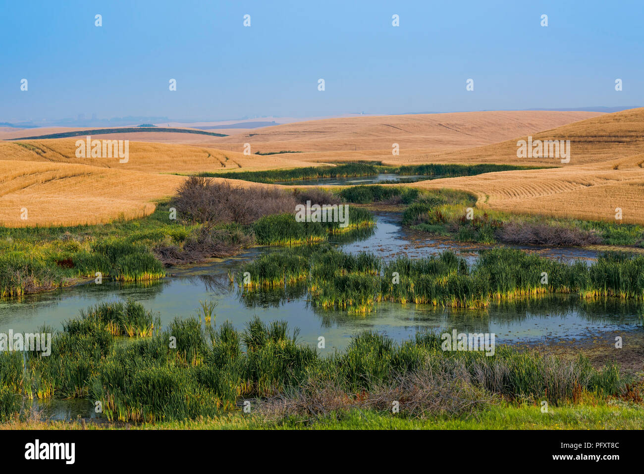 Starland County High Resolution Stock Photography and Images - Alamy