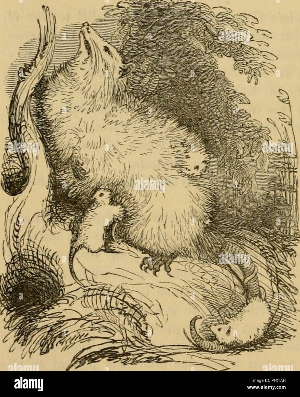 Intrinsical hi-res stock photography and images - Alamy