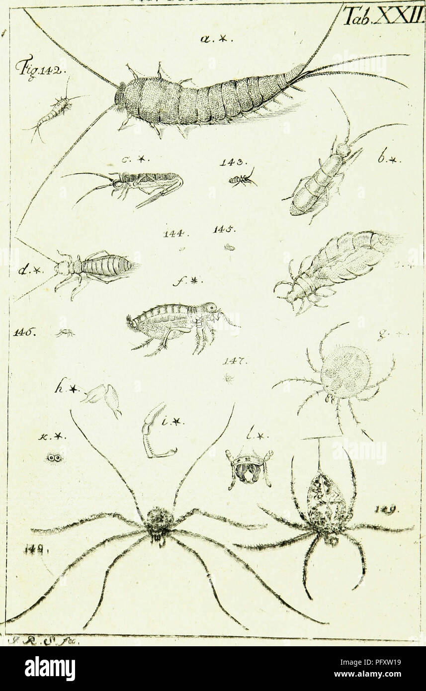 This entomological work describes the features and classification of ...