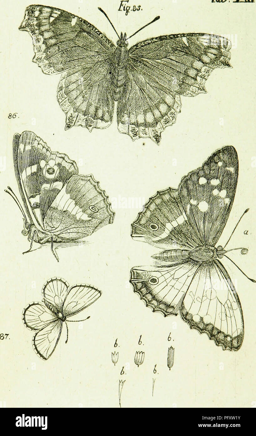 This work by Johann Heinrich Sulzer outlines the characteristics of ...
