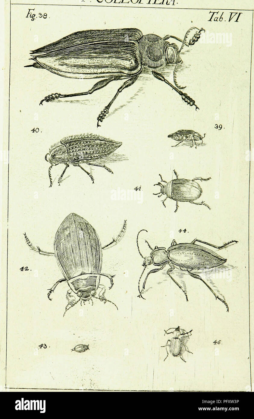 This work outlines the key characteristics of insects based on the ...
