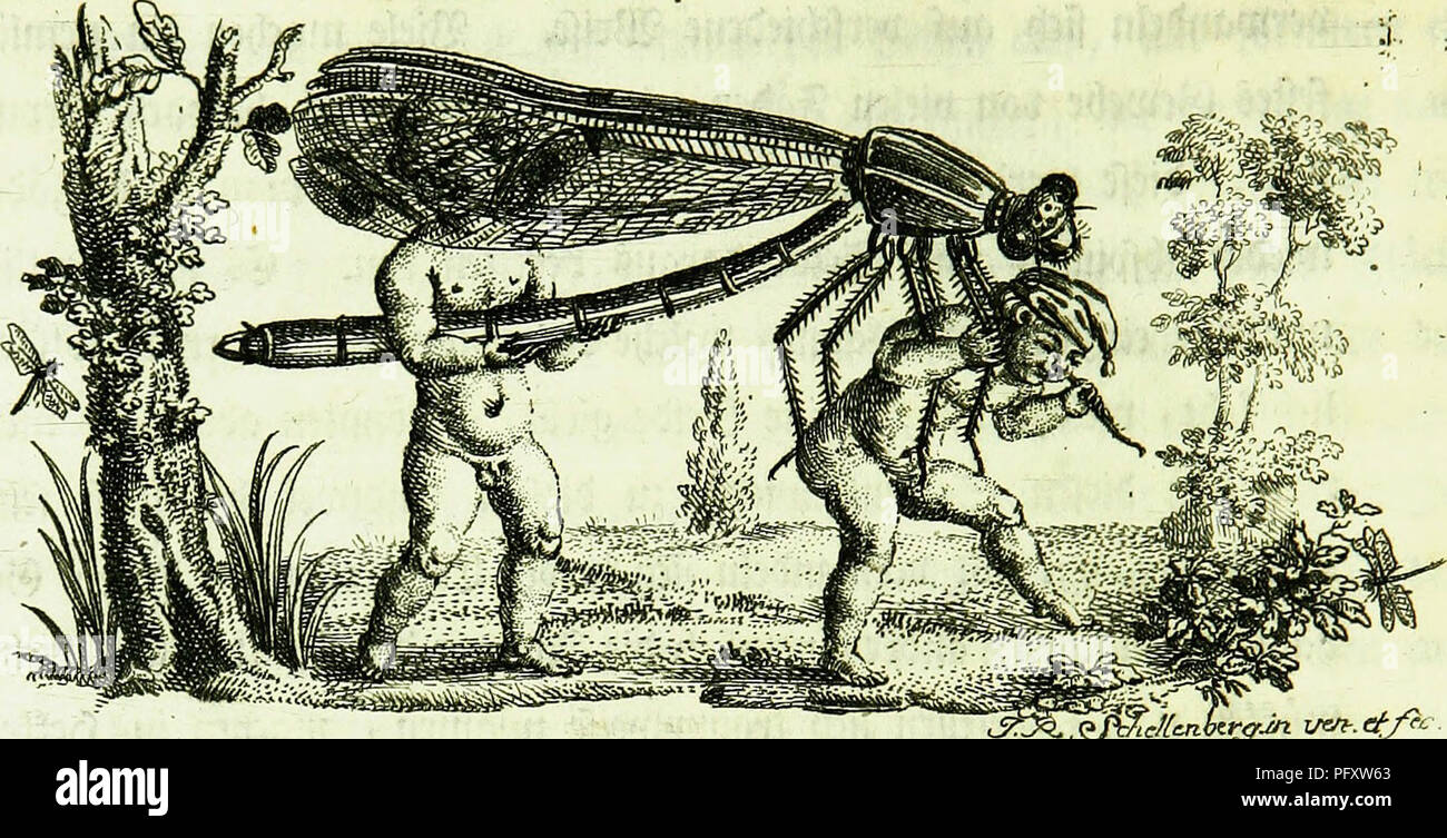 This image is taken from 'Die Kennzeichen der Insekten' by Carl ...