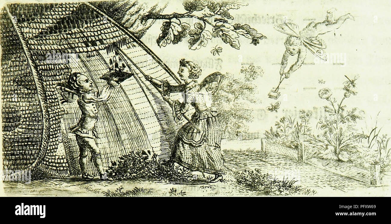 This entomological work, based on the guidance of Karl Linnaeus ...