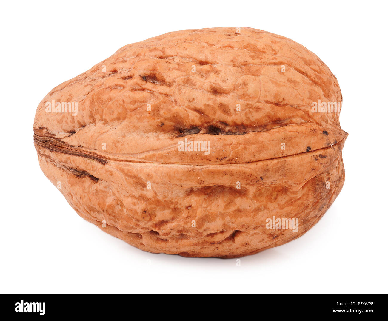 one walnut isolated on white background Stock Photo - Alamy