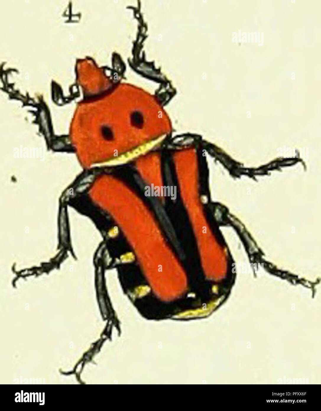 This work offers a comprehensive look at the diverse insect species of ...