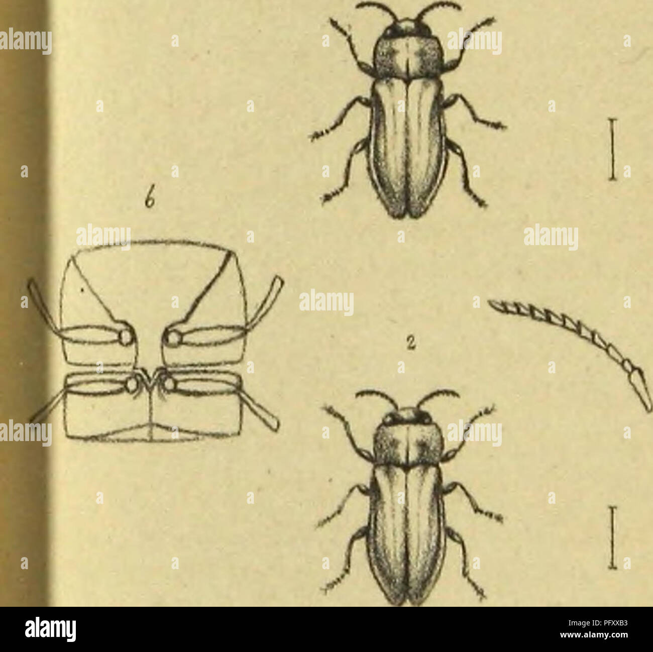 This work by Jonas David Labram and Ludwig Imhoff provides a ...