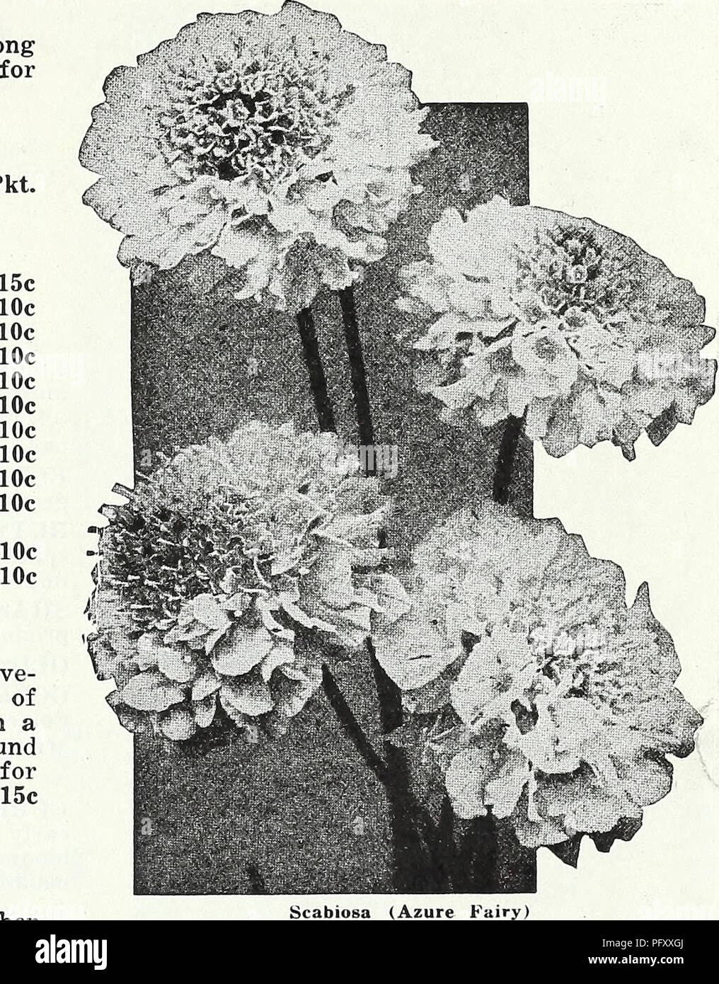 This annual catalog presents a variety of gardening products, including ...