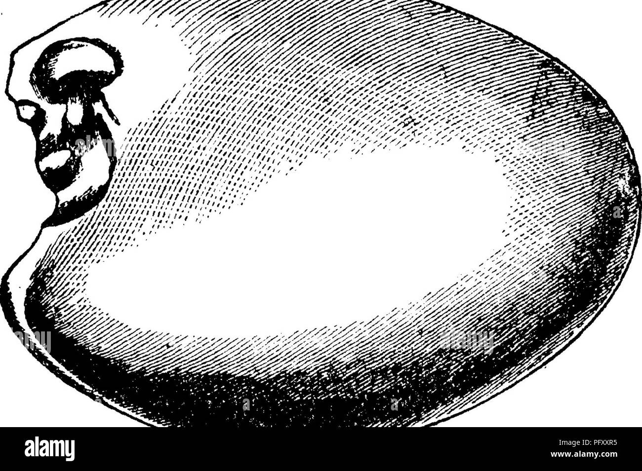 N s k o v Black and White Stock Photos & Images - Alamy