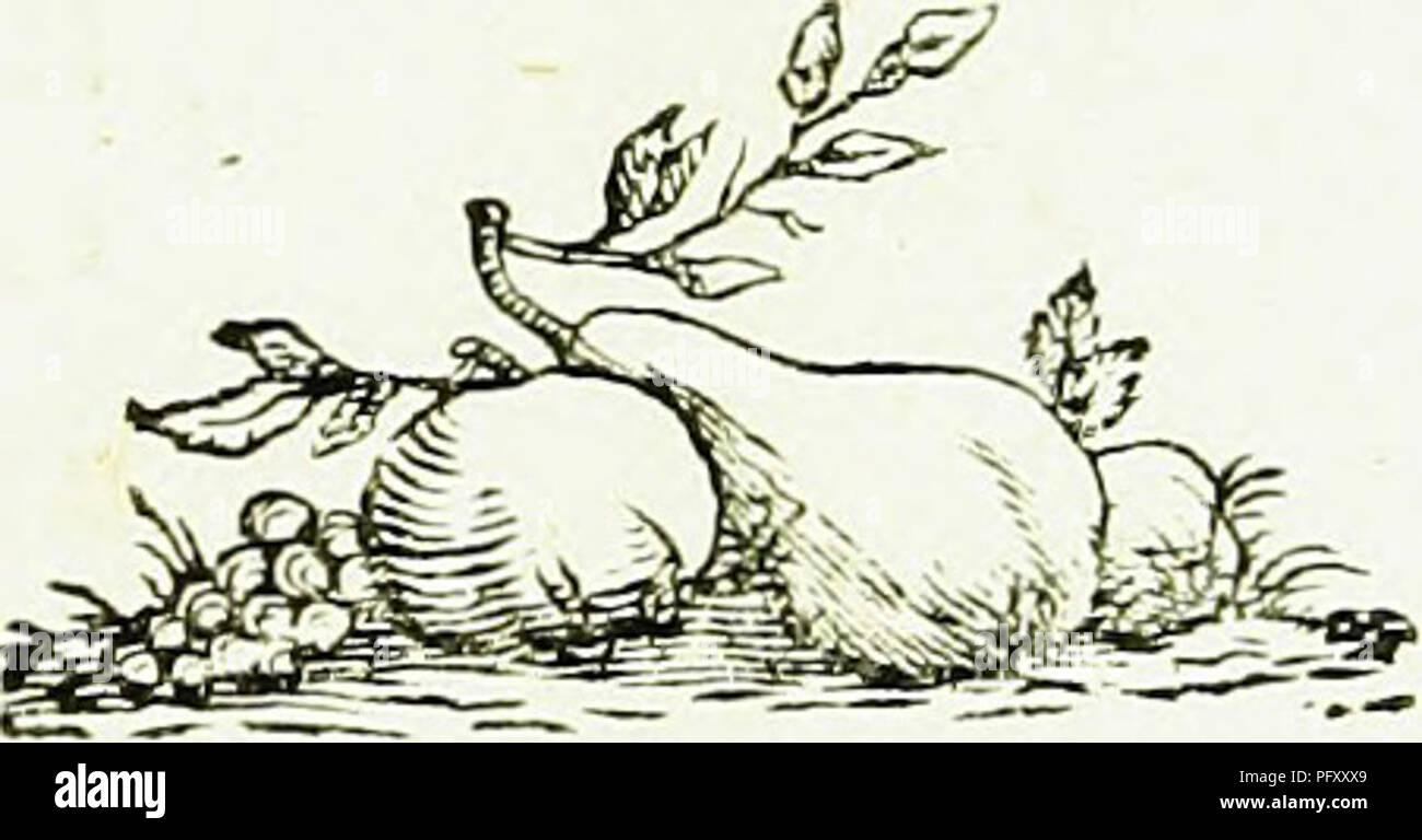 This catalogue lists known Swiss insects and provides detailed ...