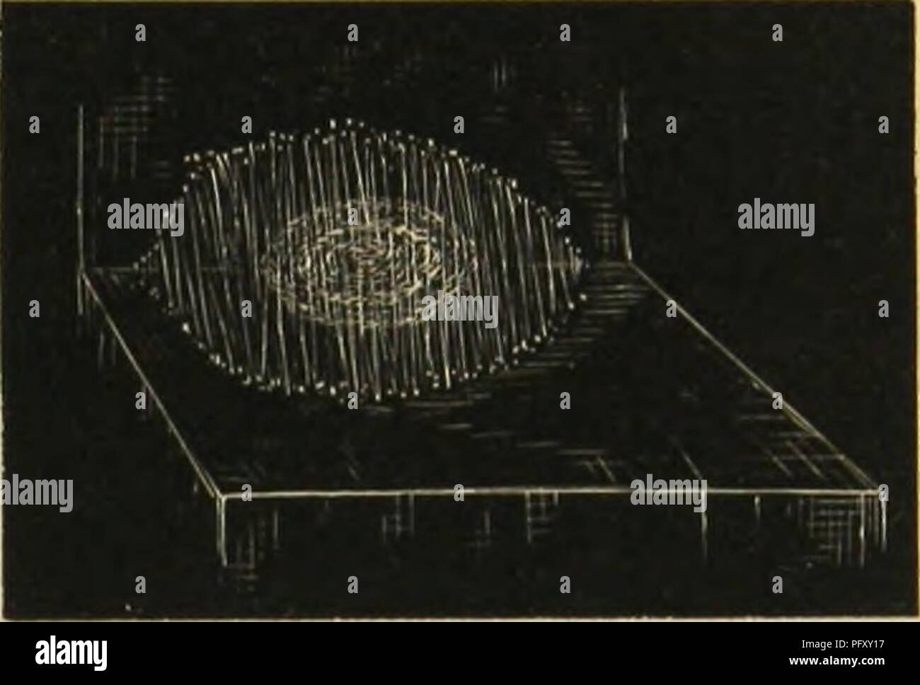 The image depicts the work of orb-weaving spiders, focusing on their ...
