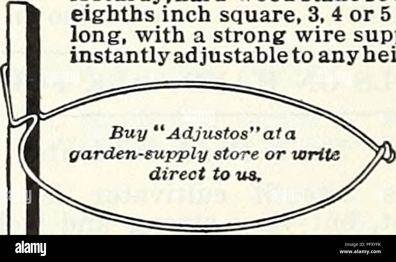 This annual gardening catalog from 1935 by Currie's presents a wide ...