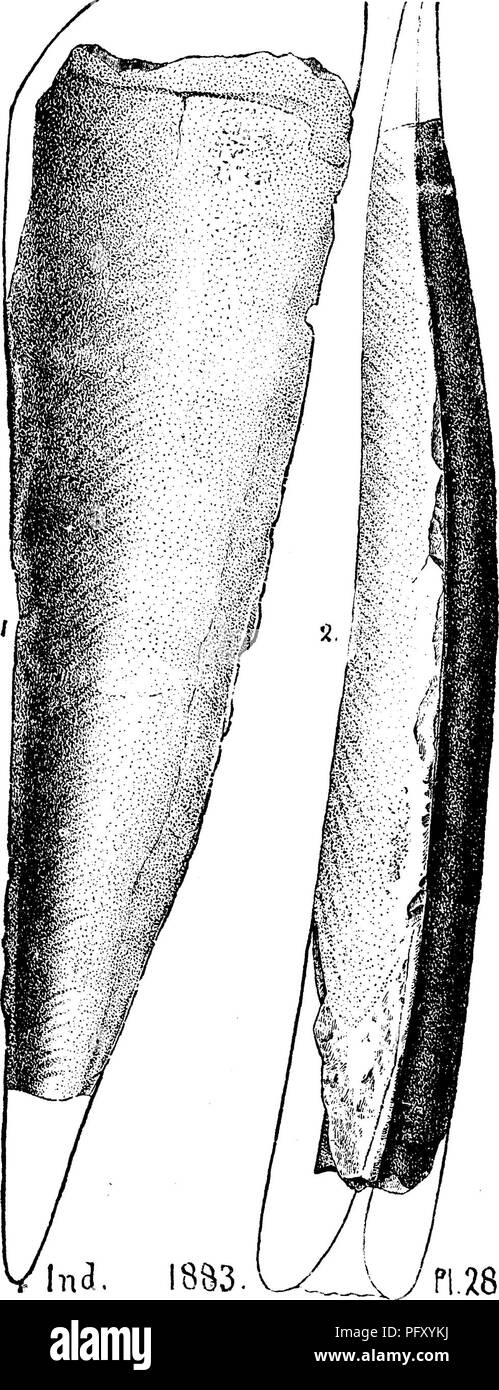 Ac st louis hi-res stock photography and images - Alamy