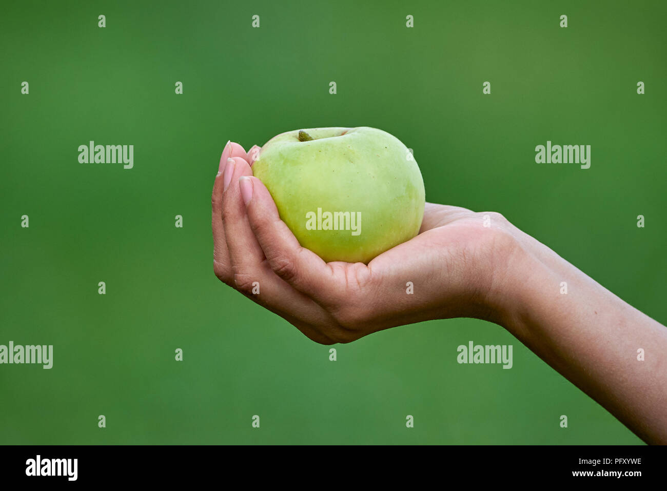 Womans hand holding apple hi-res stock photography and images - Alamy