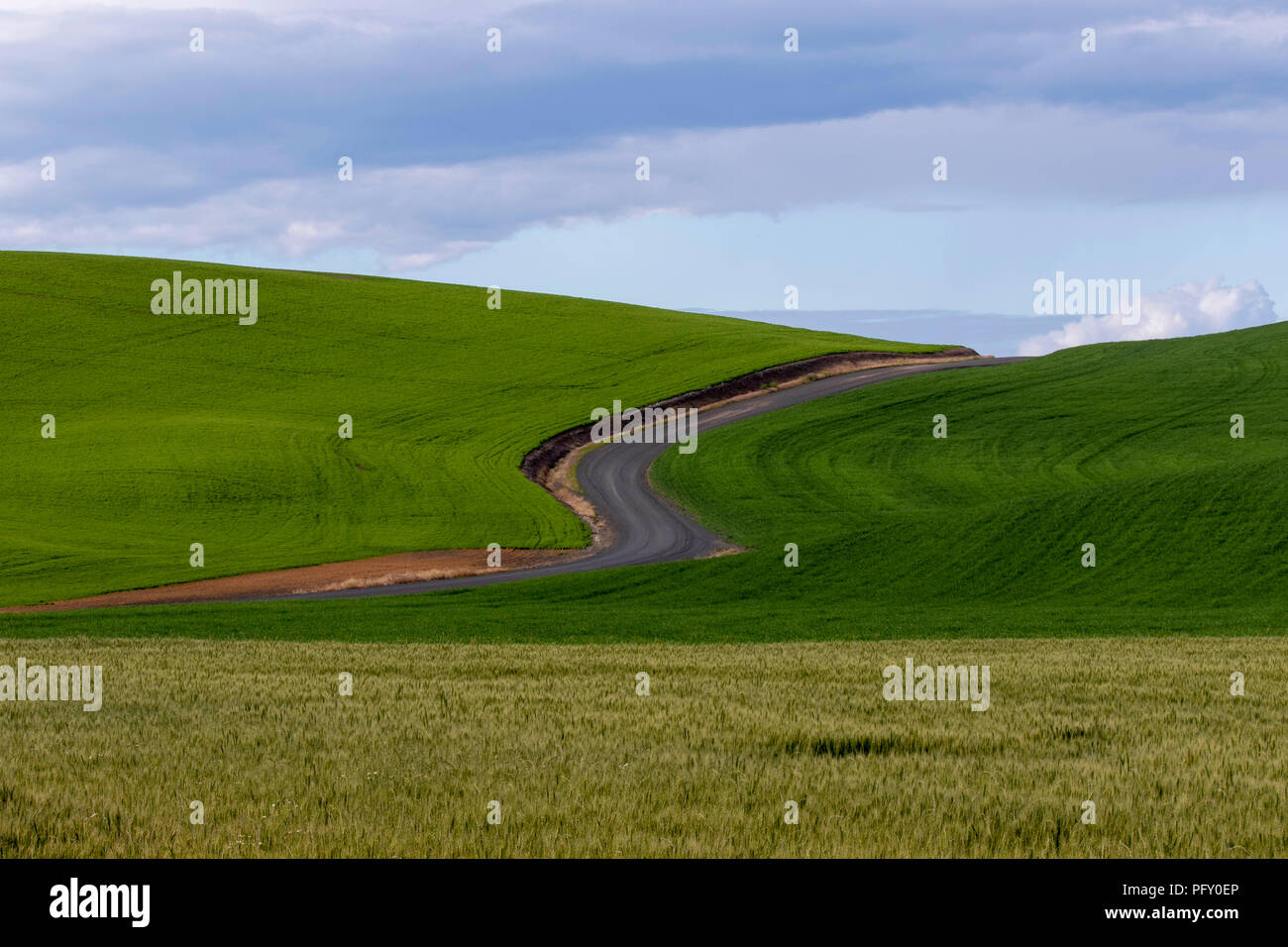 Rolling hills and farmland in the Palouse region of Washington near ...