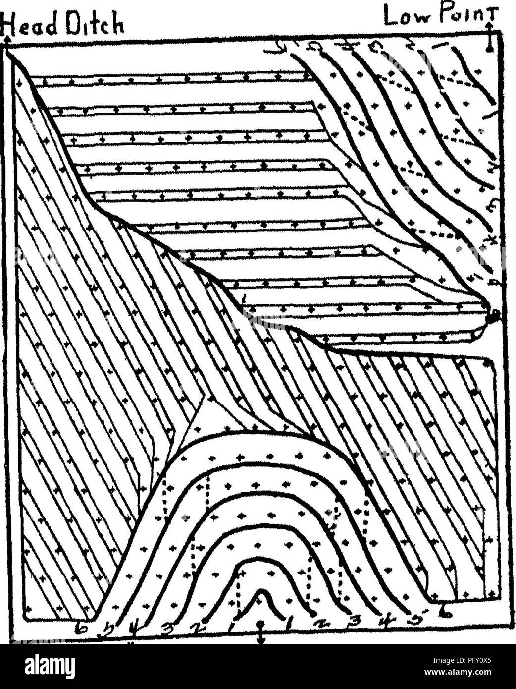 This illustration from 'The Encyclopedia of Practical Horticulture ...