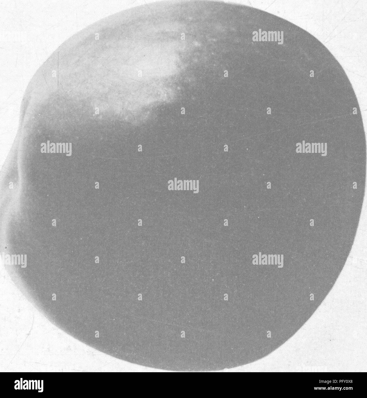 A comprehensive guide to horticulture, focusing on the scientific and ...