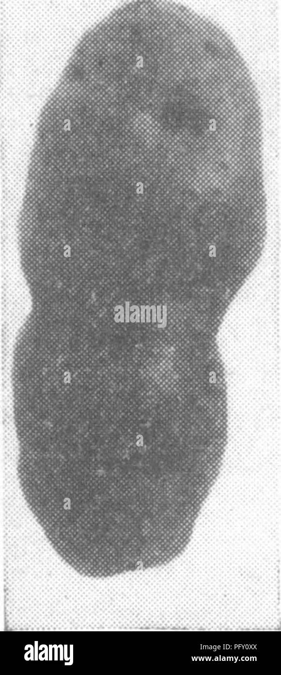 Sandy and rocky soil Black and White Stock Photos & Images - Alamy