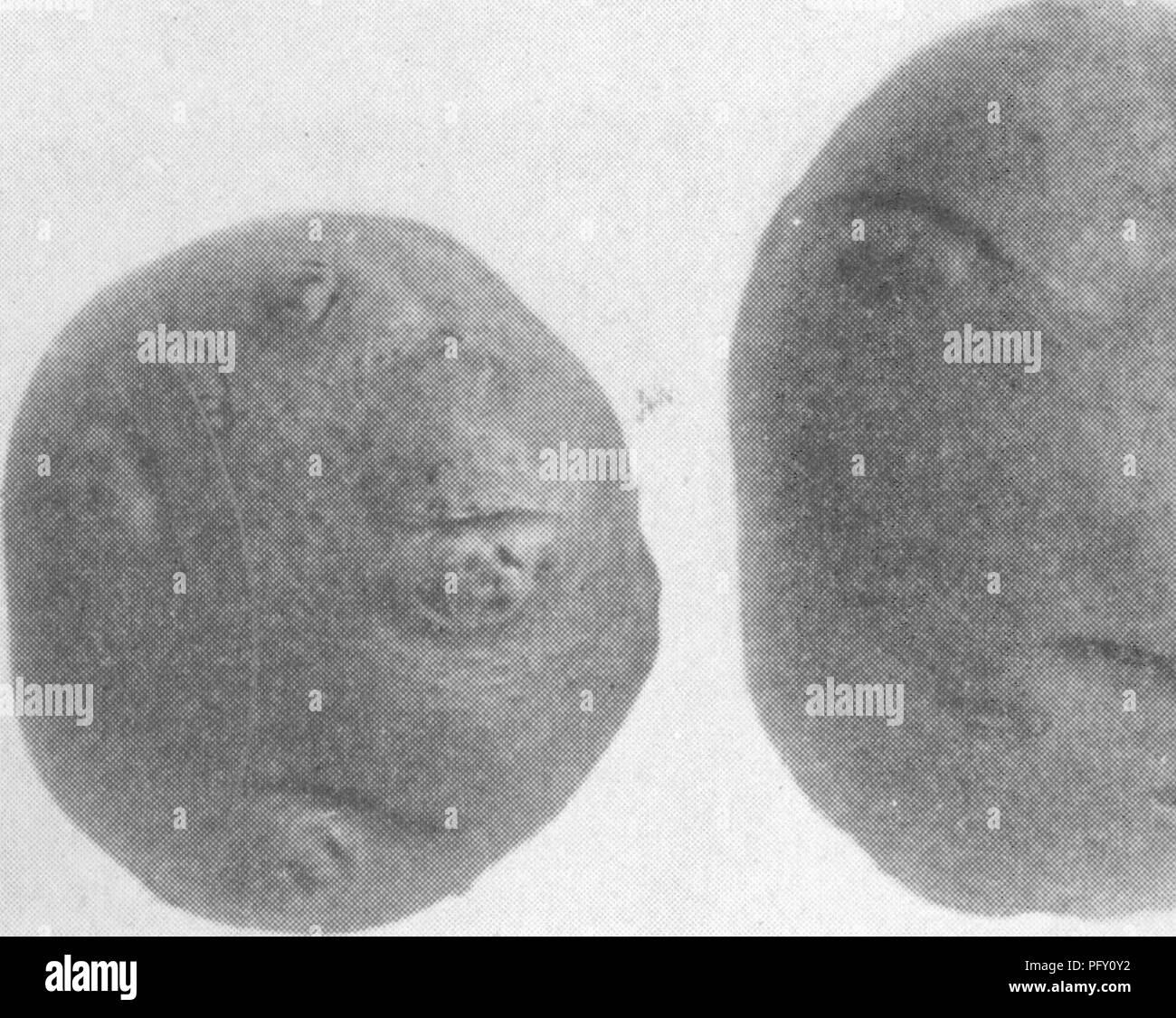 Sandy and rocky soil Black and White Stock Photos & Images - Alamy