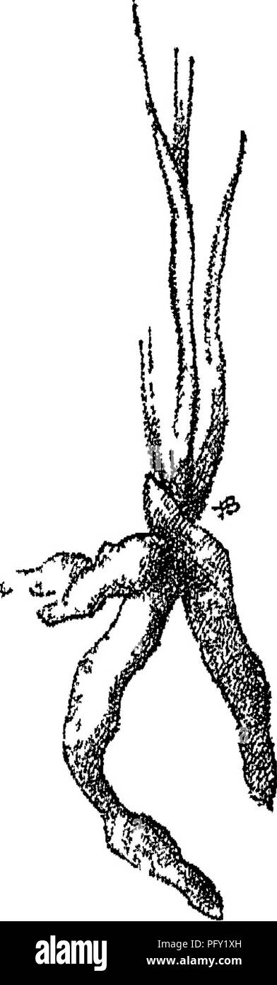 Irish biodiversity Black and White Stock Photos & Images - Alamy