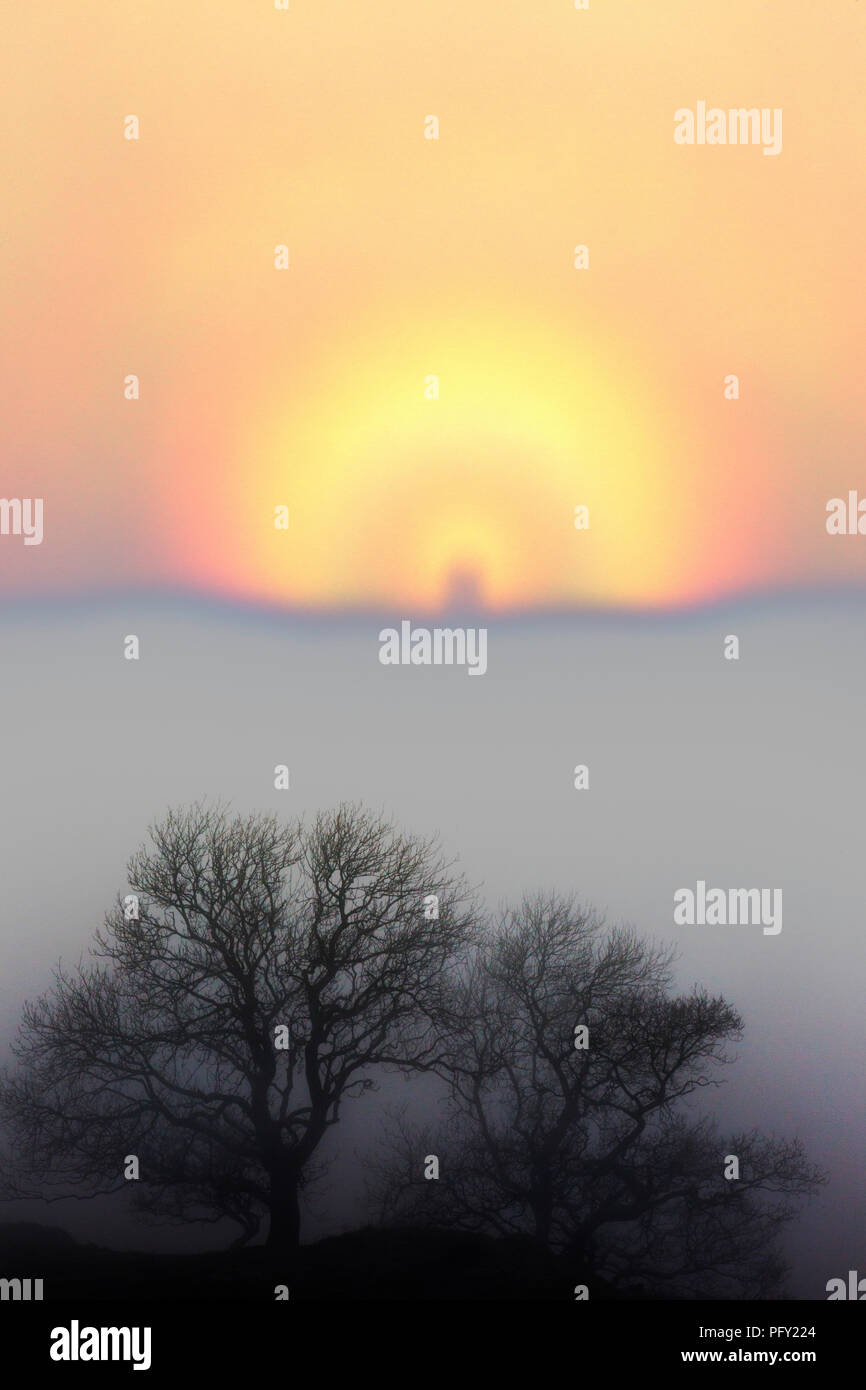 Brocken spectre tree hi-res stock photography and images - Alamy