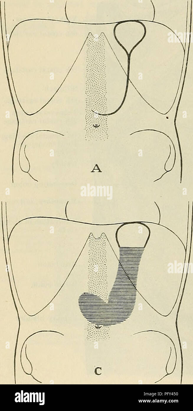 This textbook on human anatomy includes detailed sections on the ...
