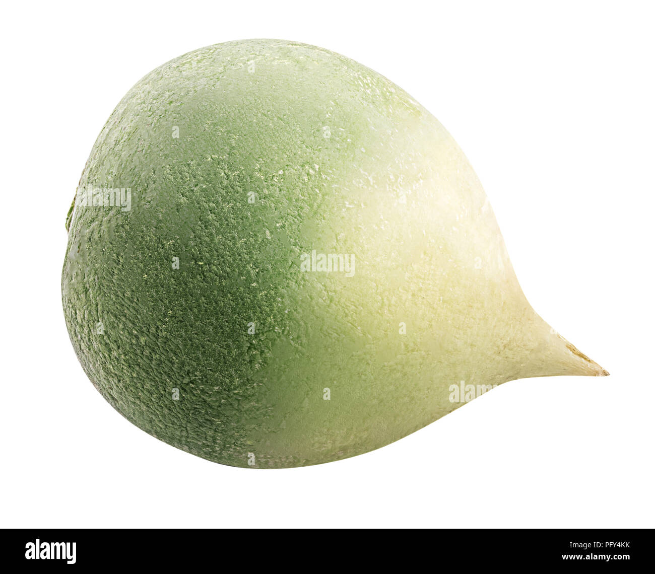 Green fresh radish isolated on white background Stock Photo - Alamy
