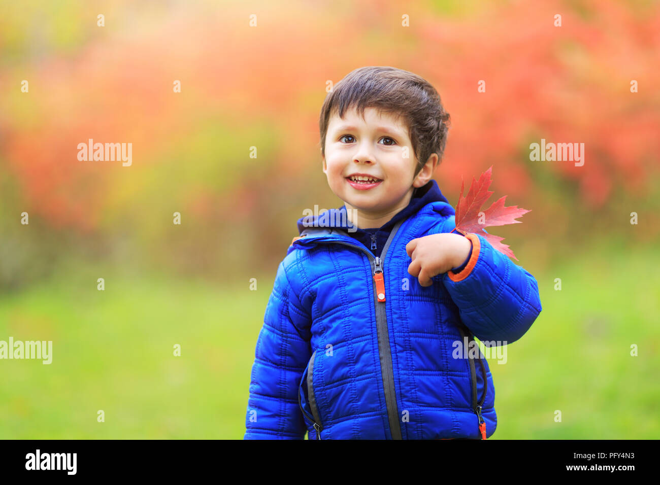 Boy with a red maple leaf attached in the heart region with great pride ...