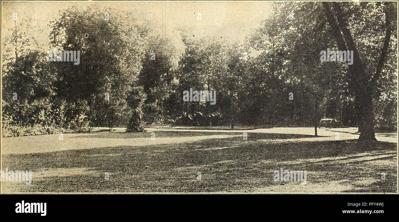 Currie's 1921 catalog features a variety of grass seed mixtures ...