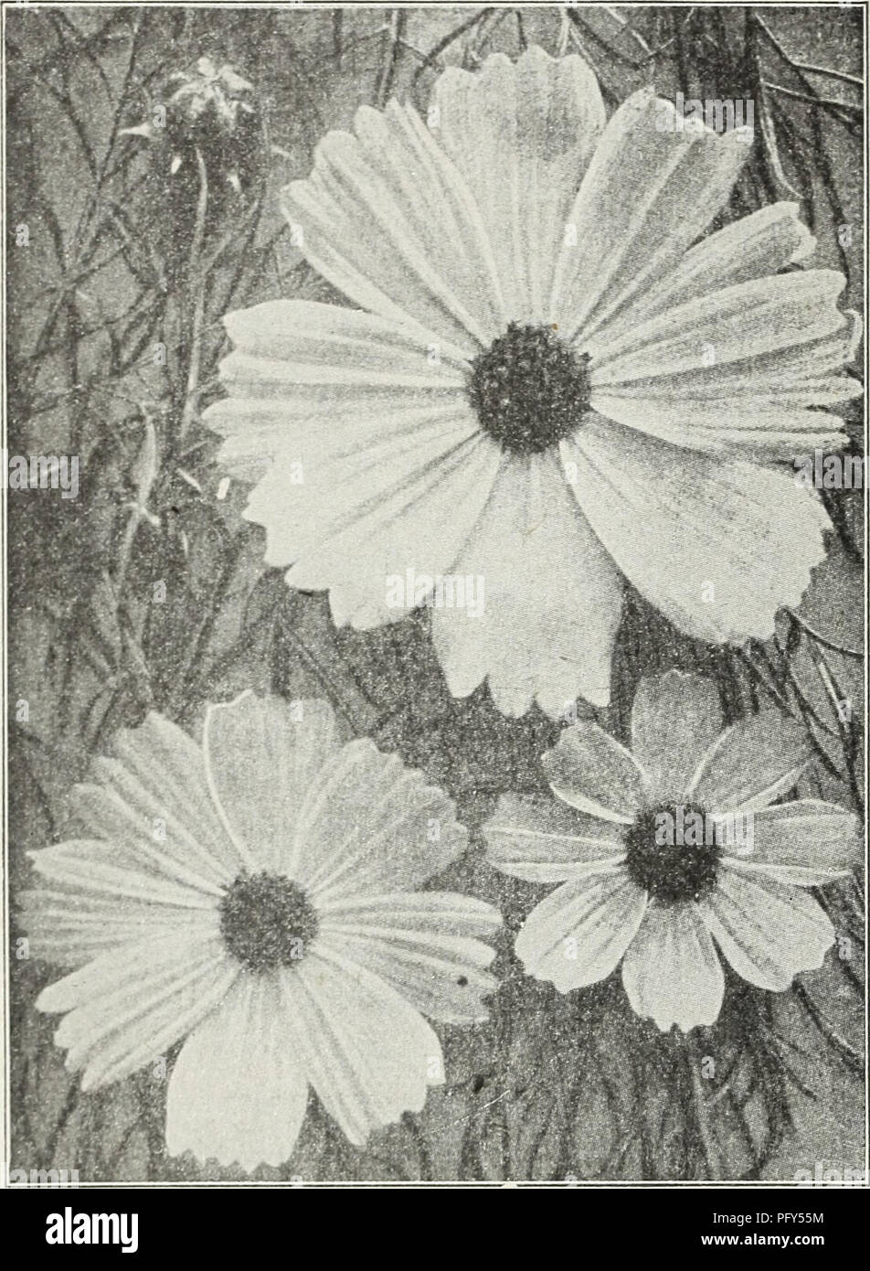 The 1930 Currie's Farm and Garden Annual catalog features a variety of ...