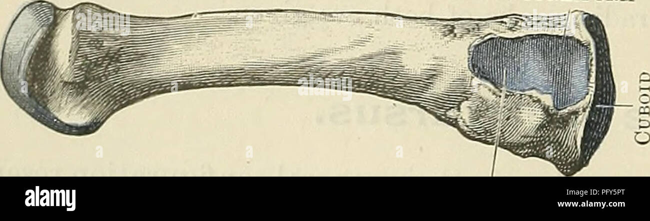 Third cuneiform hi-res stock photography and images - Alamy