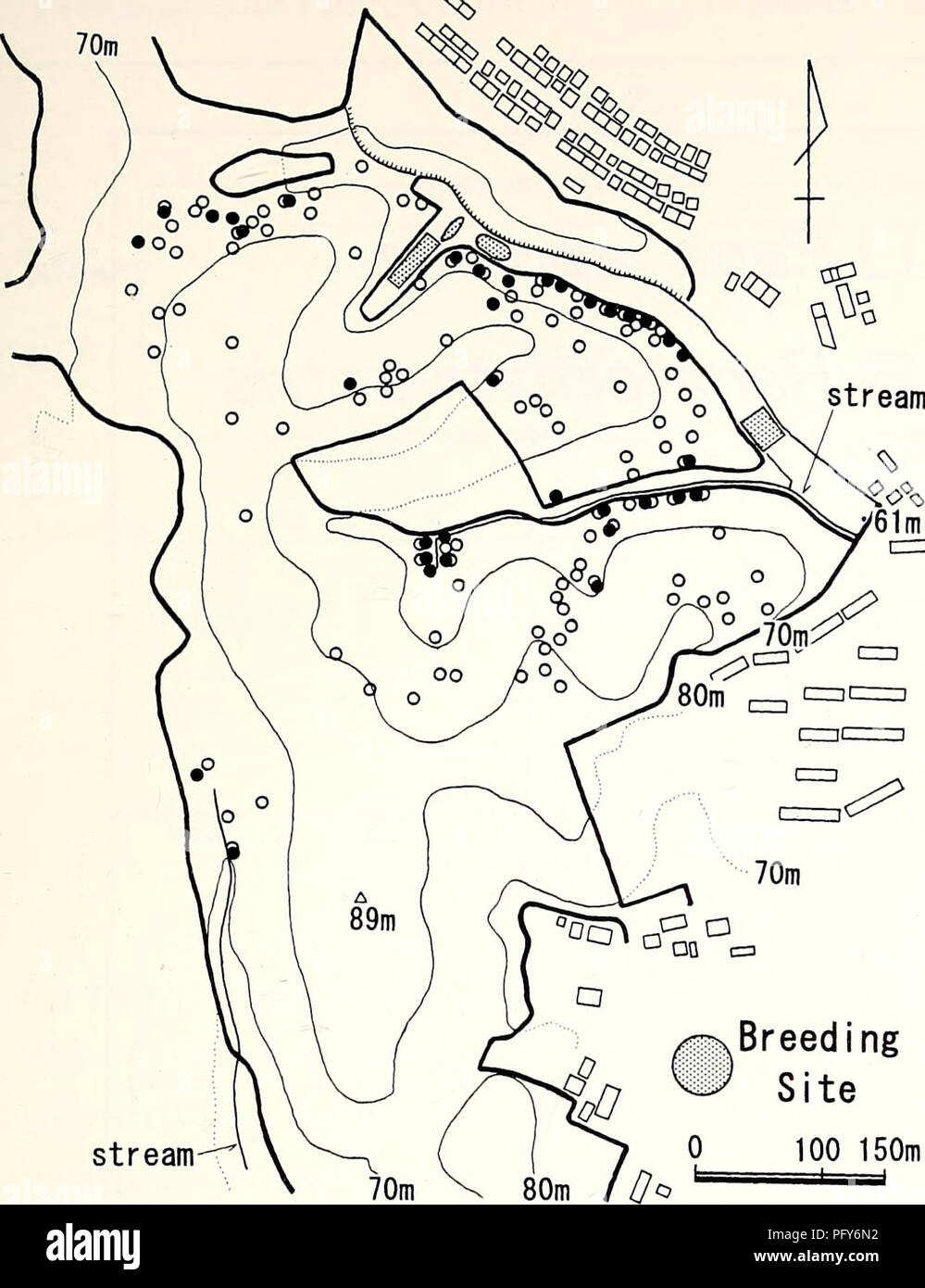 This research focuses on the dispersal patterns of the Japanese frog (R ...
