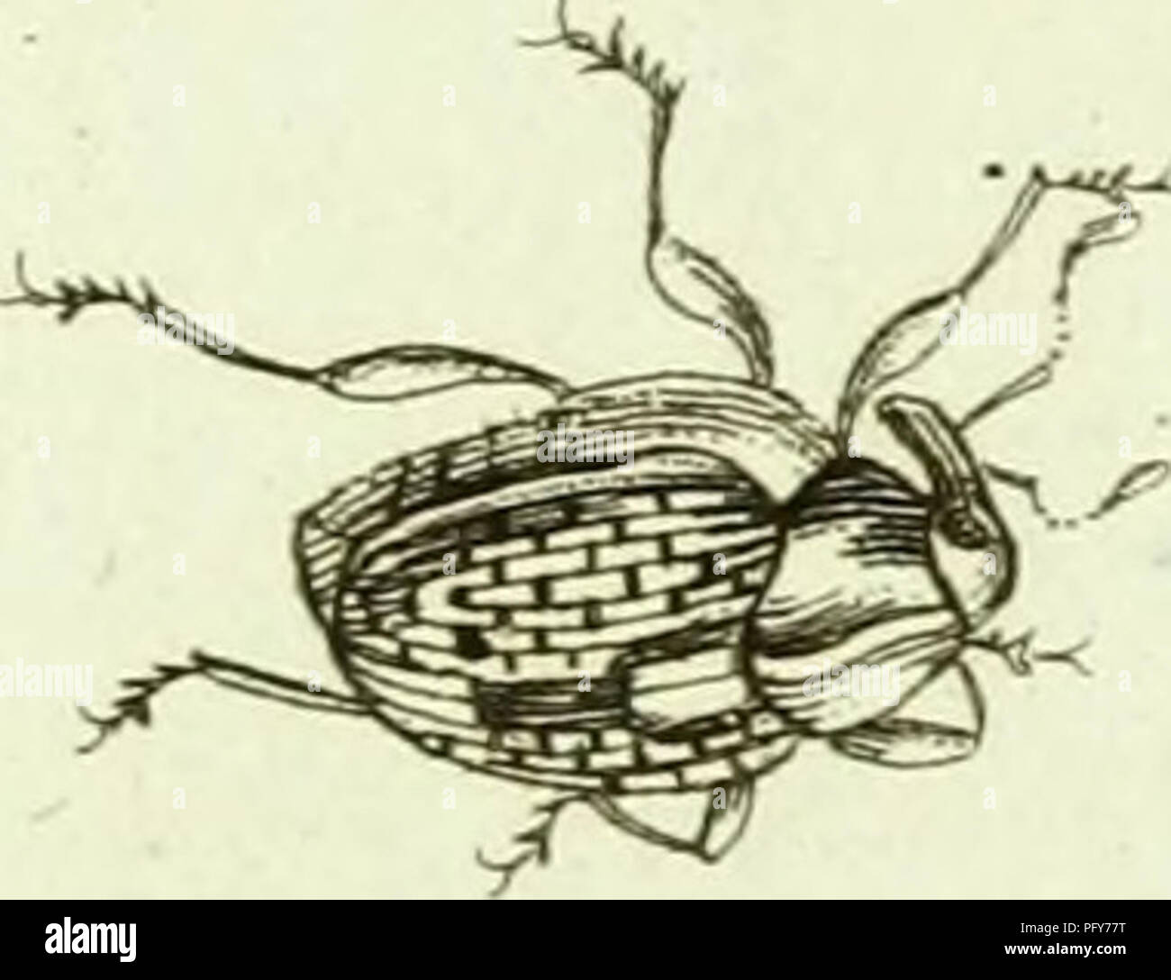 Jf g hi-res stock photography and images - Alamy