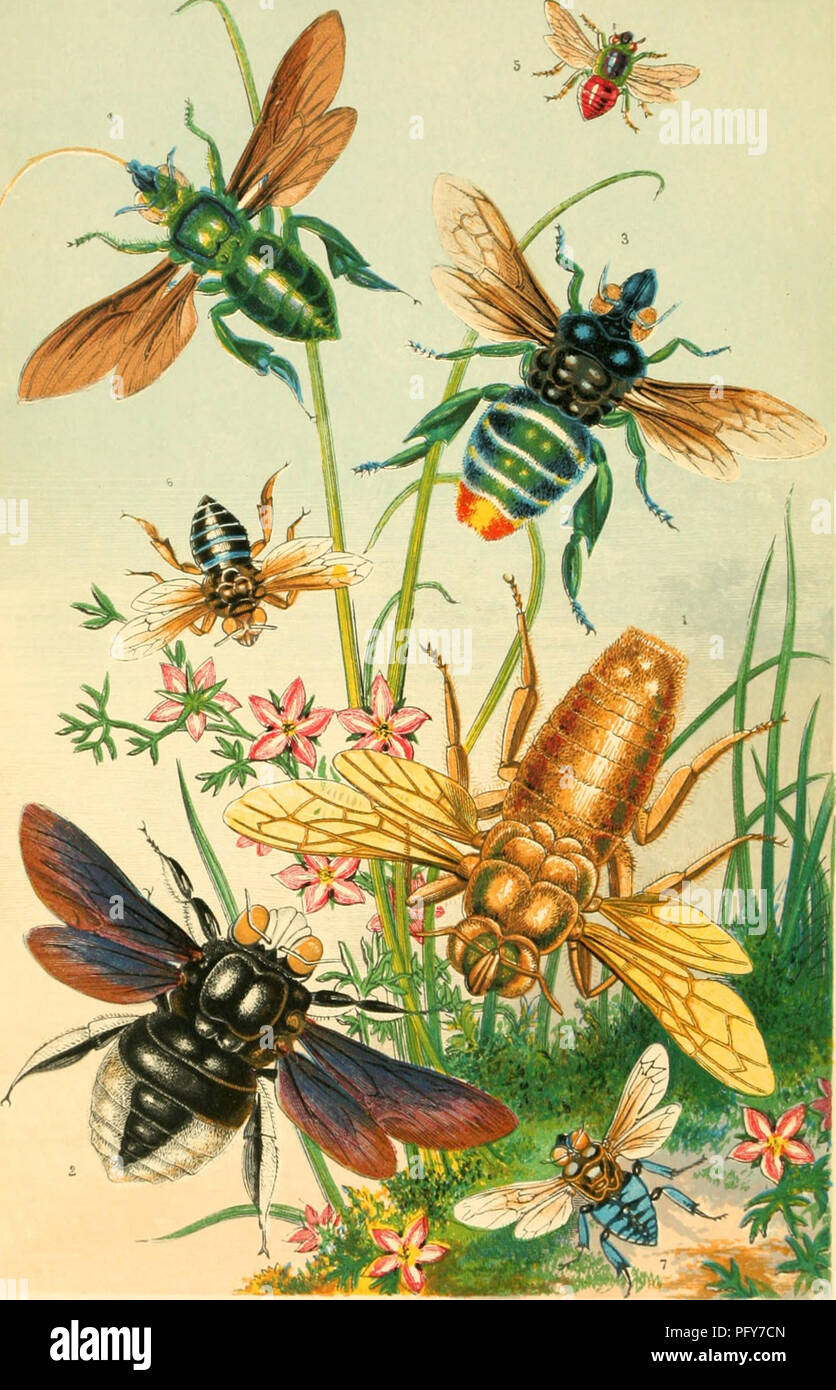 Sa nt hi-res stock photography and images - Alamy