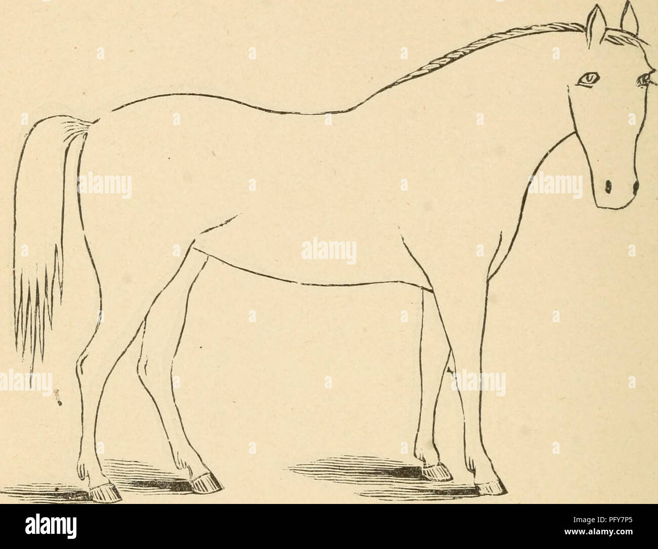 A detailed description of Thomas Cunningham’s device for stockmen and ...