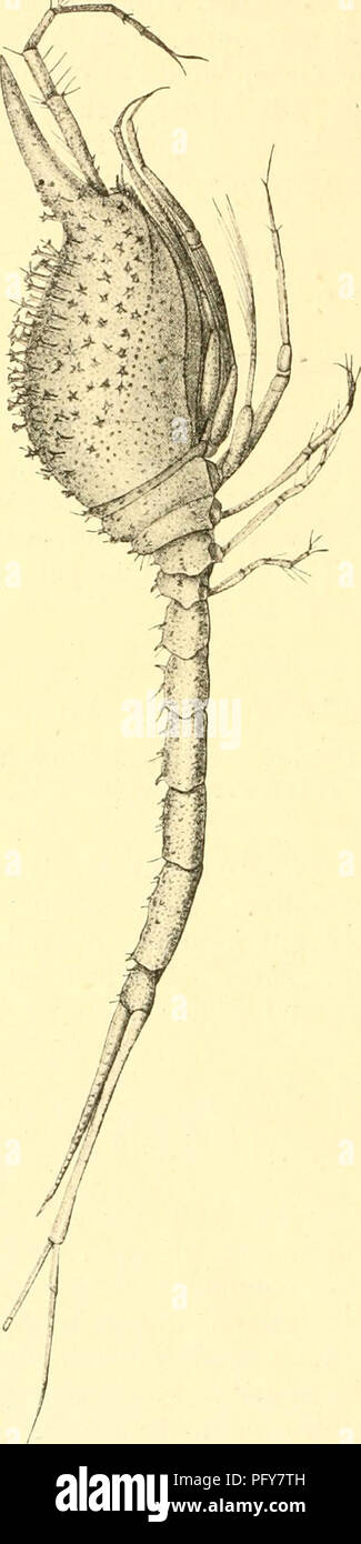 3 4 l straight hi-res stock photography and images - Alamy