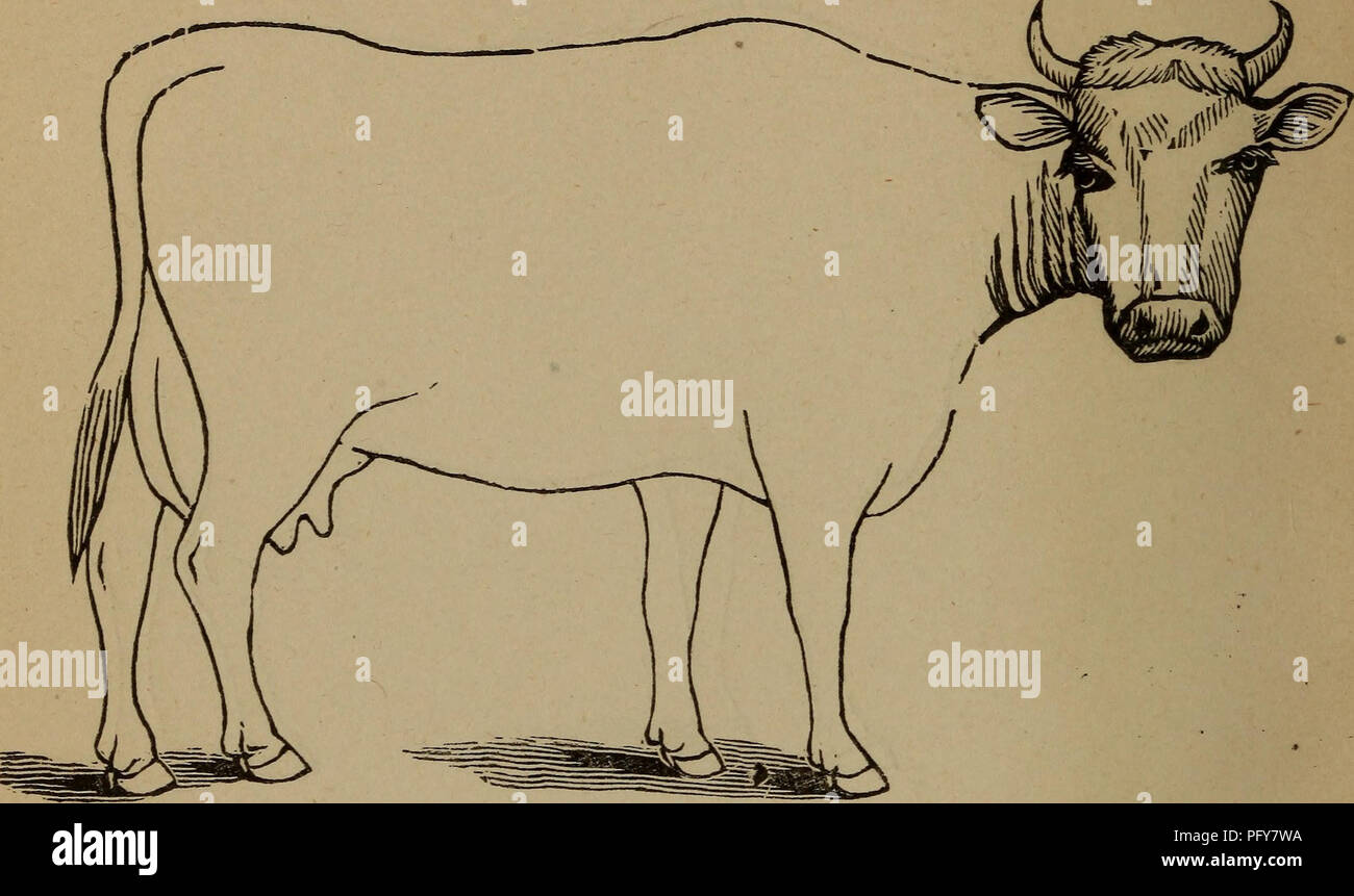 Thomas Cunningham's device for stockmen and farmers offers a method for ...