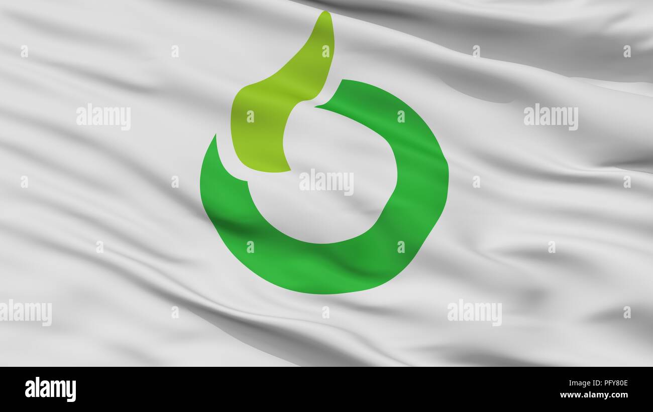 Ureshino City Flag, Japan, Saga Prefecture, Closeup View Stock Photo ...