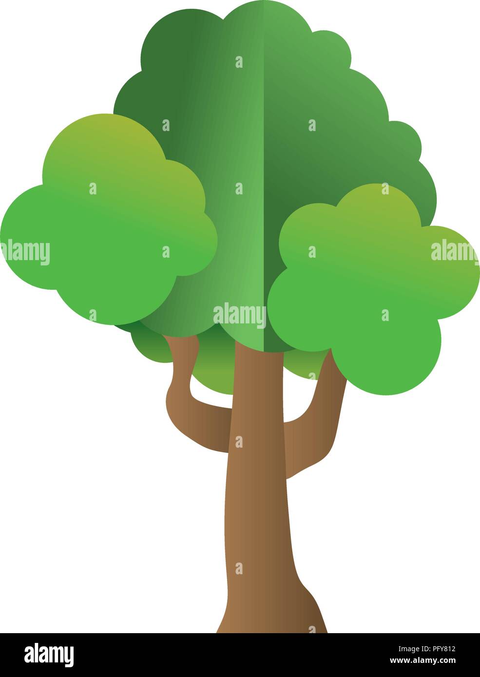 nature tree stalk branches leaves Stock Vector Image & Art - Alamy