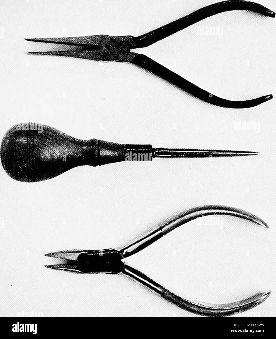 Two different birds in flight hi-res stock photography and images - Alamy